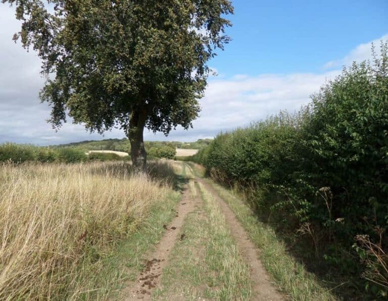 10 Brilliant Walks in Cambridge for Anyone